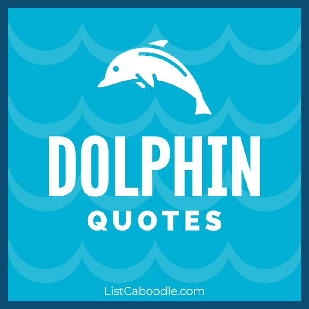 65+ Dolphin Quotes, Inspirational Sayings | ListCaboodle