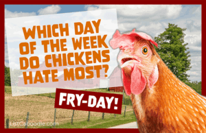 101+ Chicken Jokes for Kids (They’re Simply Egg-cellent!)