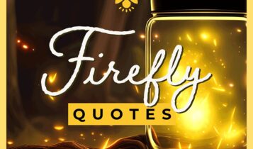 Famous Quotes (From Authors, Politicians, Entertainers & More!)