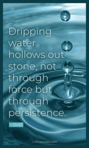 85+ Perseverance Quotes (Don’t Stop Now, You Got This!)