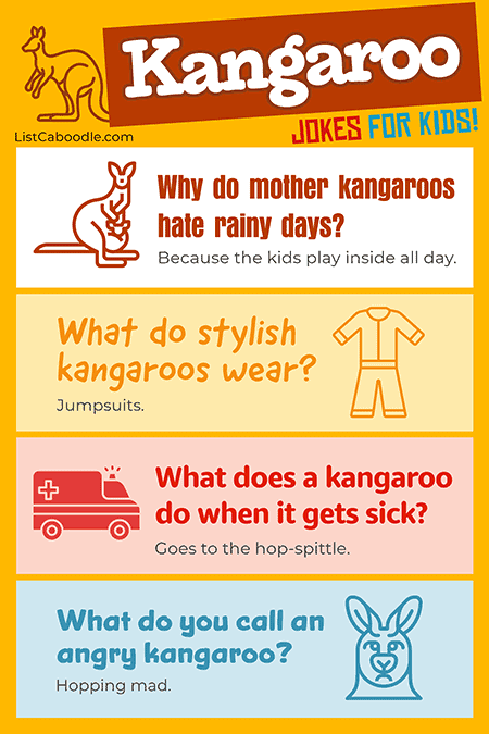 45 Kangaroo Jokes For Kids (Jumping & Hopping Humor!)
