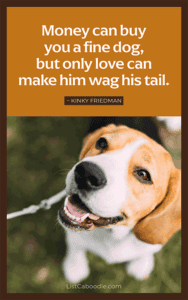 70+ Inspirational Quotes About Dogs (for Dog Lovers!)