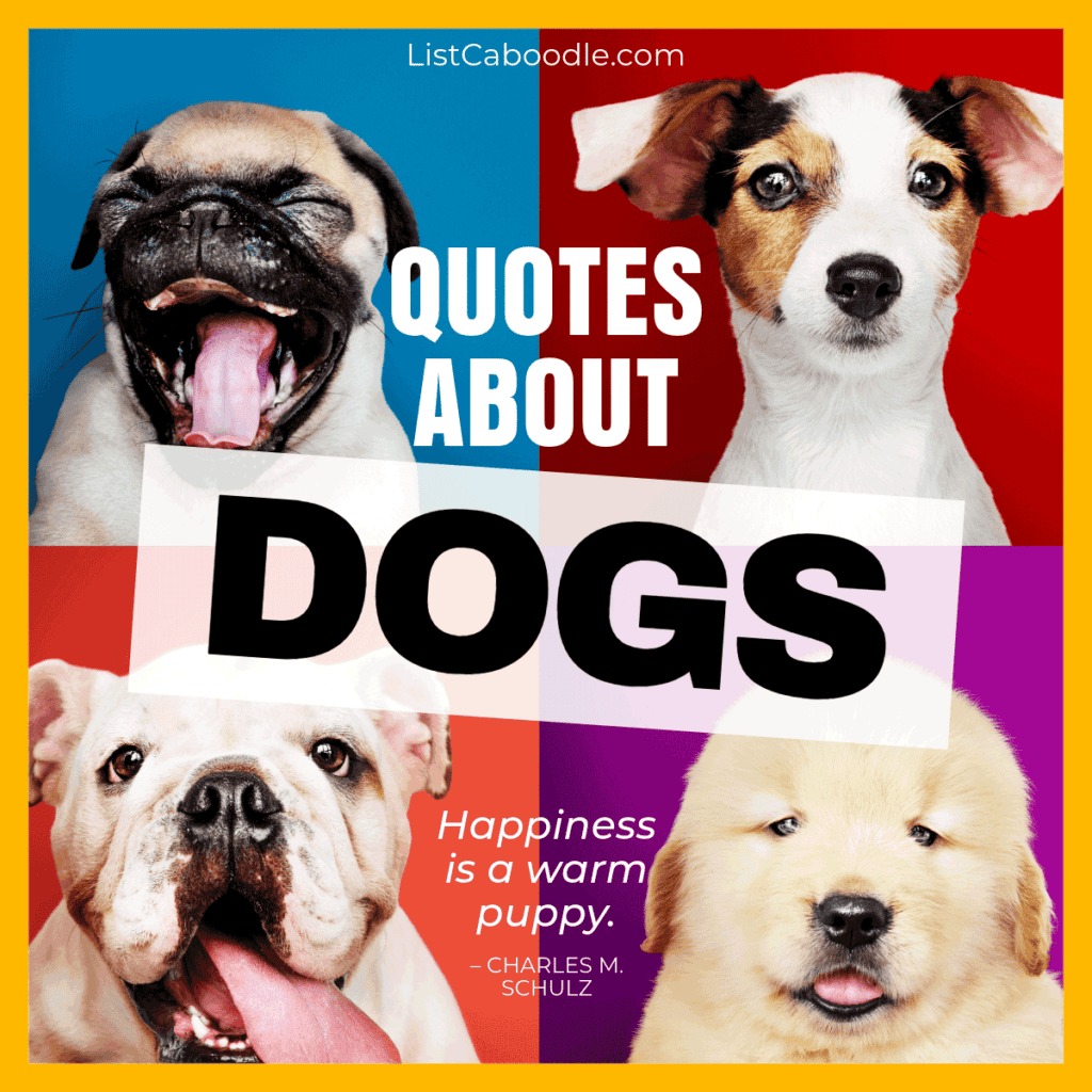 70+ Inspirational Quotes About Dogs (for Dog Lovers!)