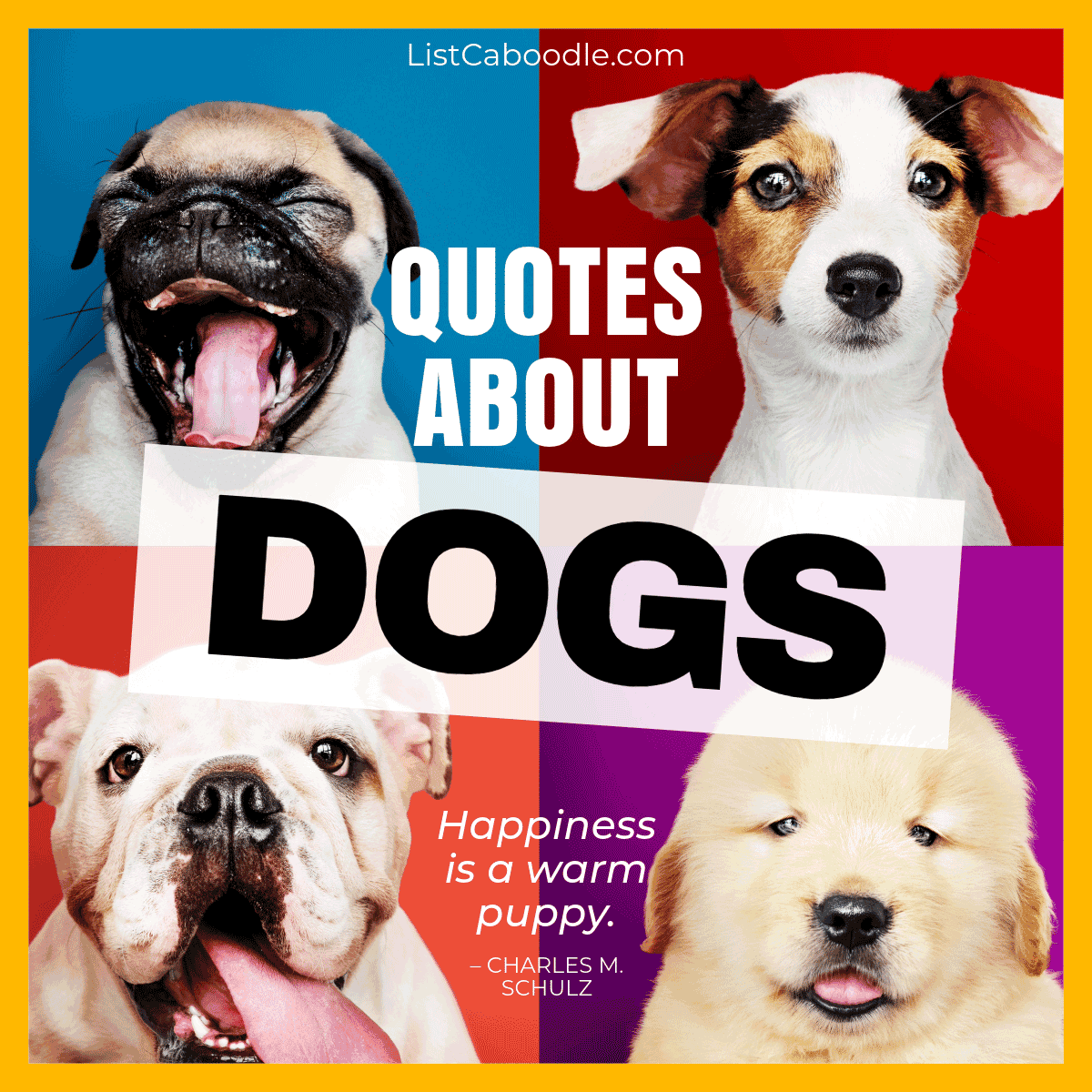70+ Inspirational Quotes About Dogs (for Dog Lovers!)