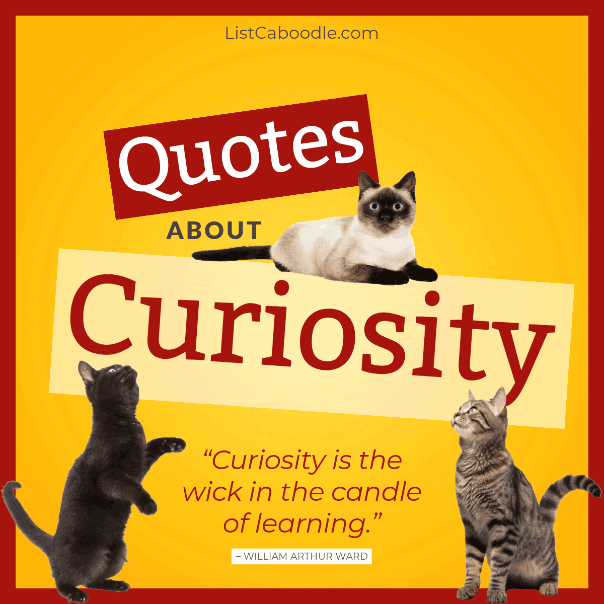 60+ Quotes About Curiosity (for Inquisitive Minds!)